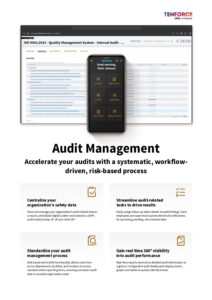 Audit_Management | TENFORCE
